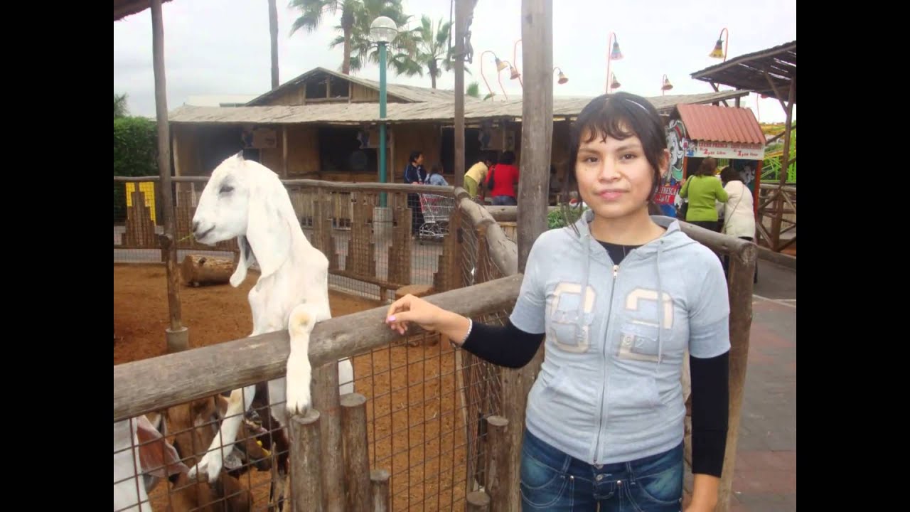 SOLO DEJATE AMAR(te amo kelly) - YouTube