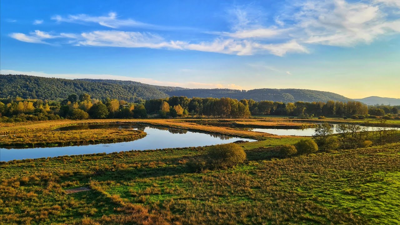 🦆Kranichwoog 🦆 Rheinland-Pfalz 🦆 Spesbach🦆 Naturschutzgebiet 🦆 ...