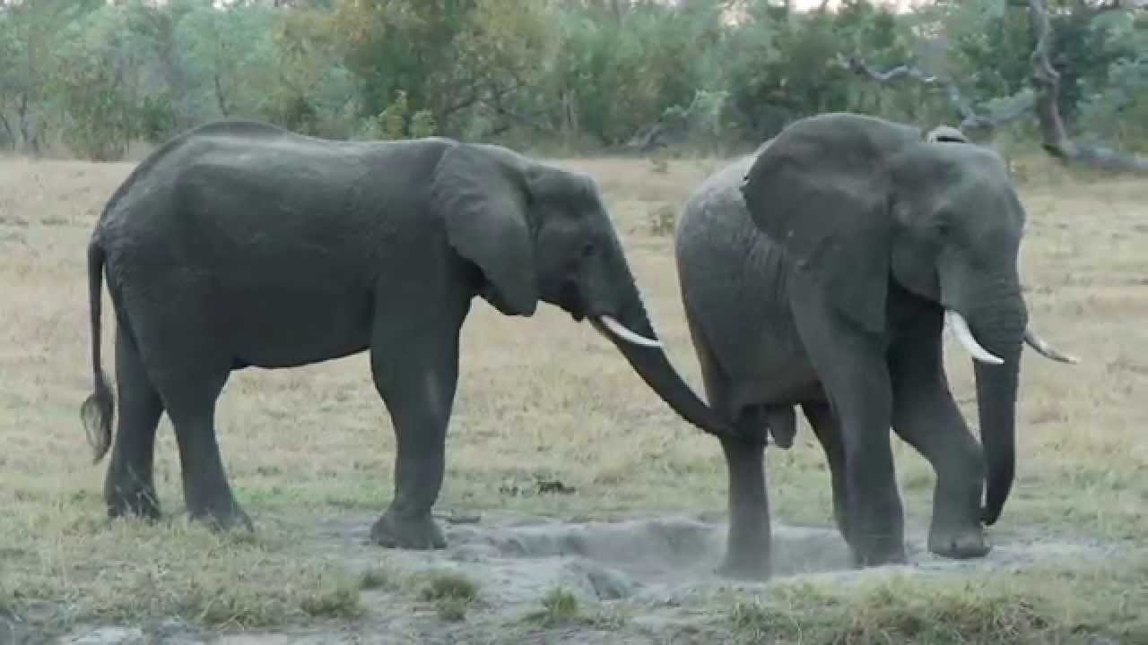 Paramount Song l Eve Sings - YouTube