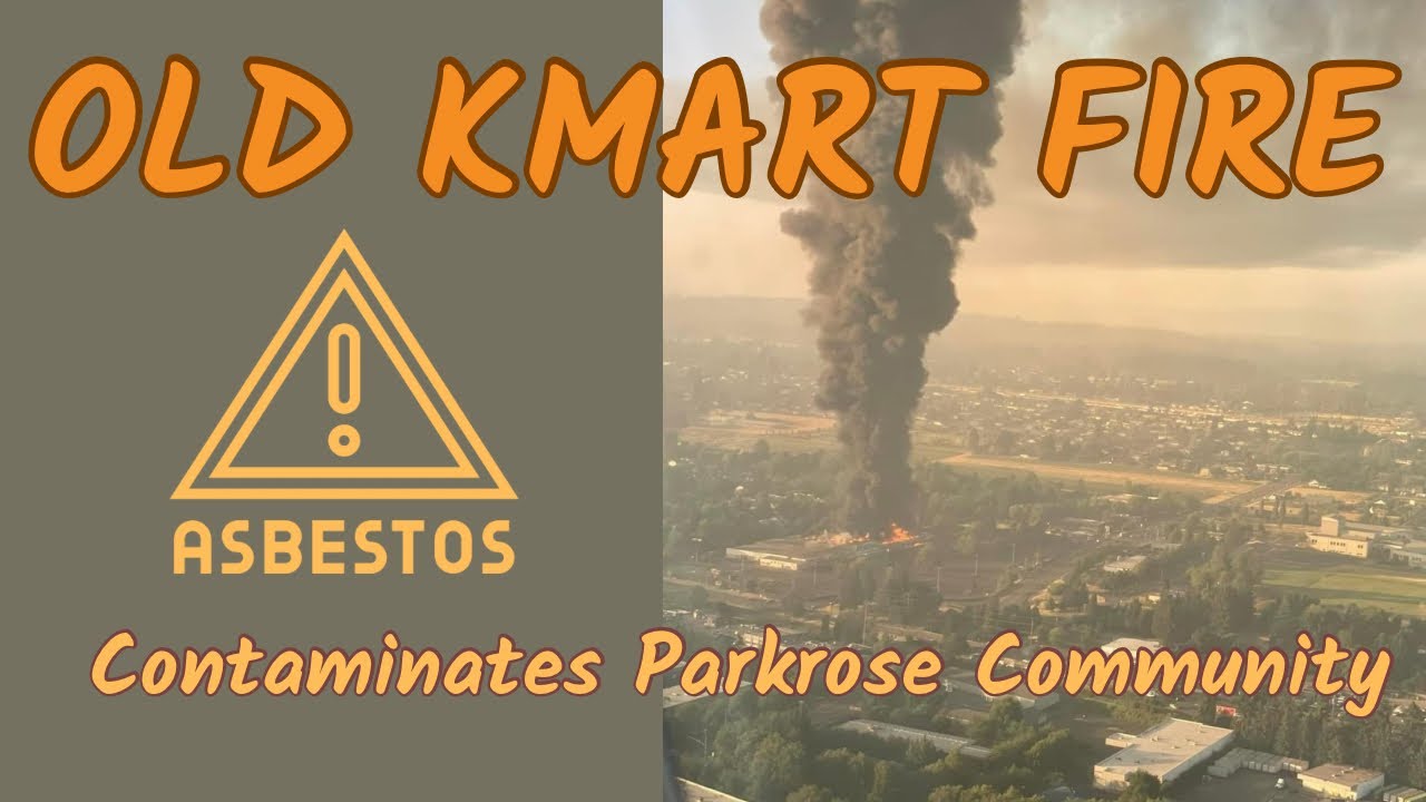 The Kmart Burned Down and Sent Asbestos Debris Into My Neighborhood ...