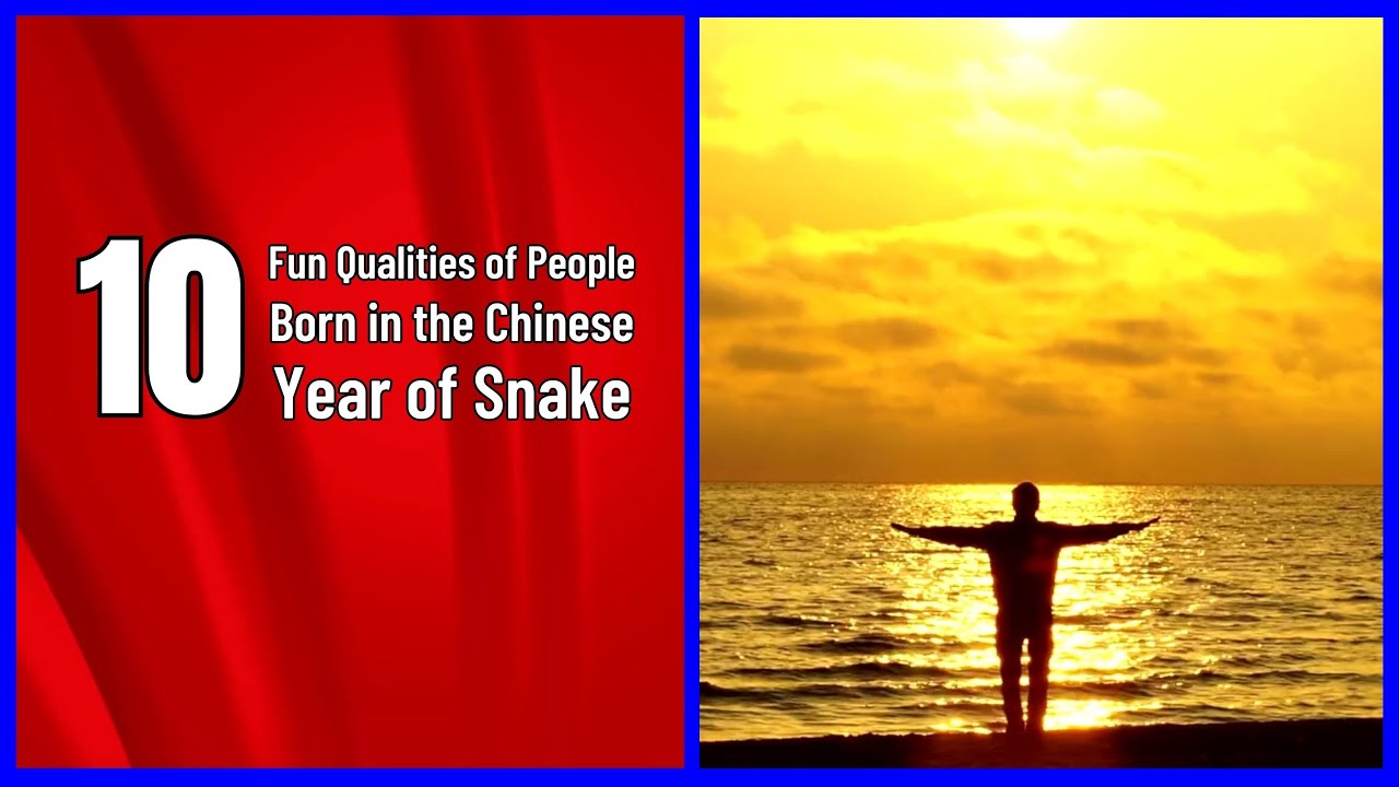 The Playful Side of the Chinese Year of the Snake: 10 Traits of Snake ...