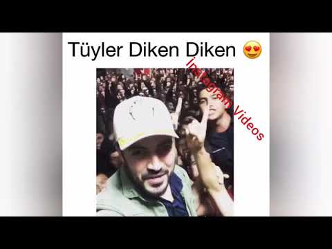 Bir Kar Yağar İnce İnce …