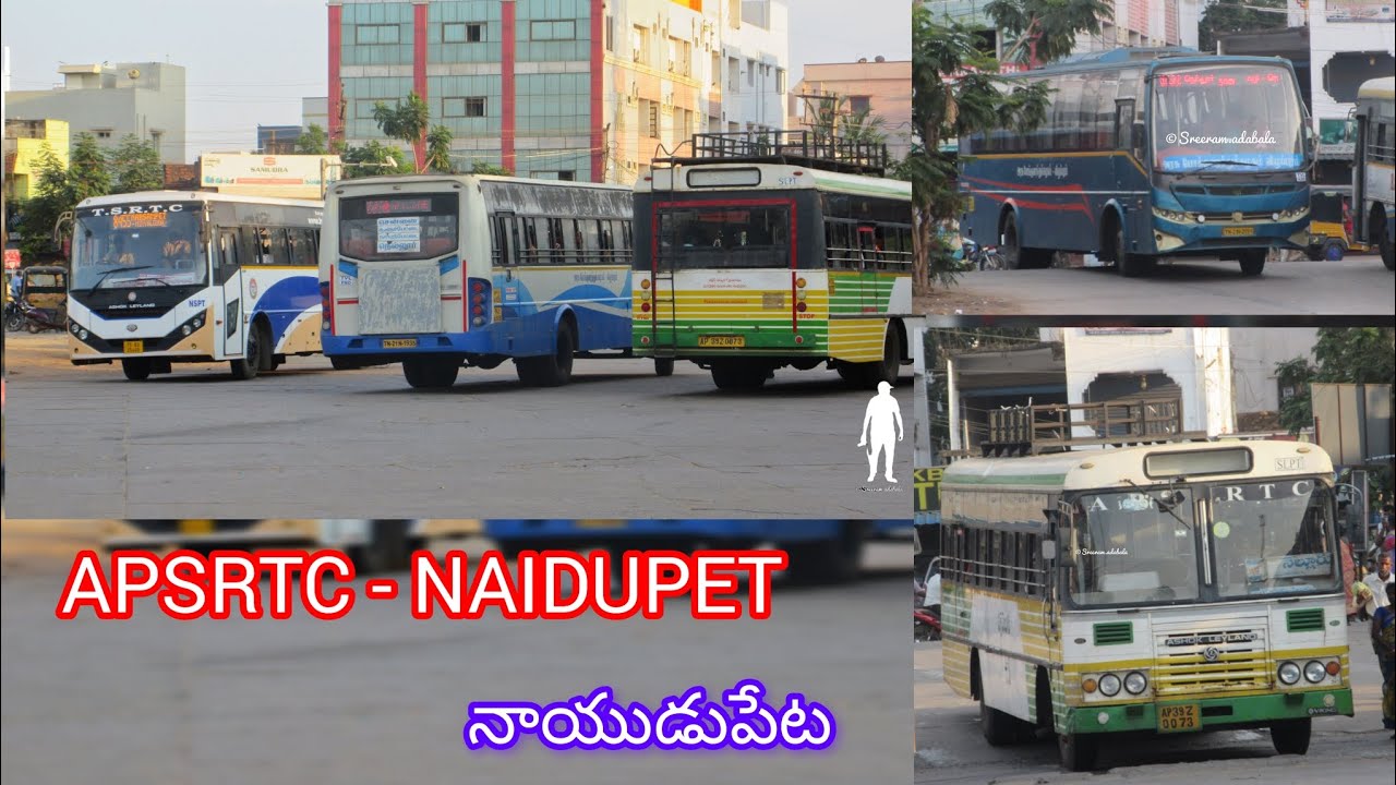 APSRTC, TSRTC, TNSTC Buses at Naidupeta Bus Station || నాయుడుపేట ...