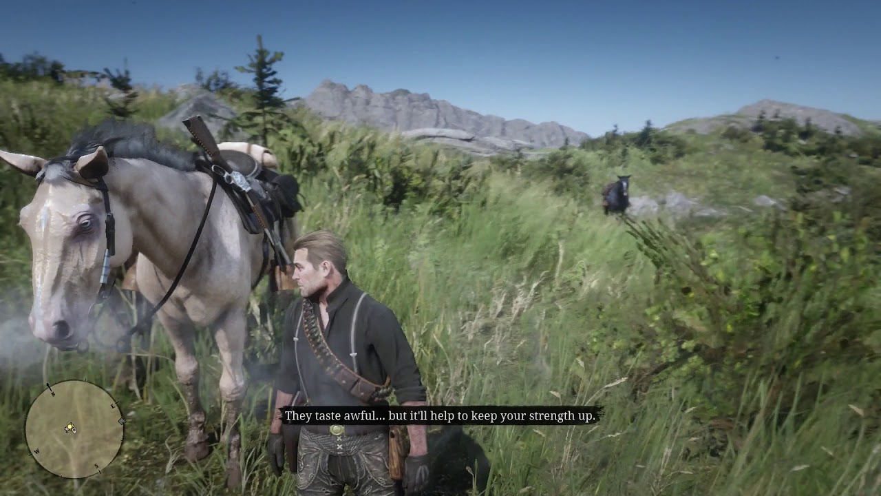 Red Dead Redemption 2 - Archeology For Beginners: Follow Rain Falls ...