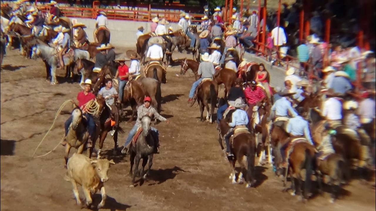 RODEO JOSE QUEZADA DE JALPA, ZACATECAS, Fotos - YouTube