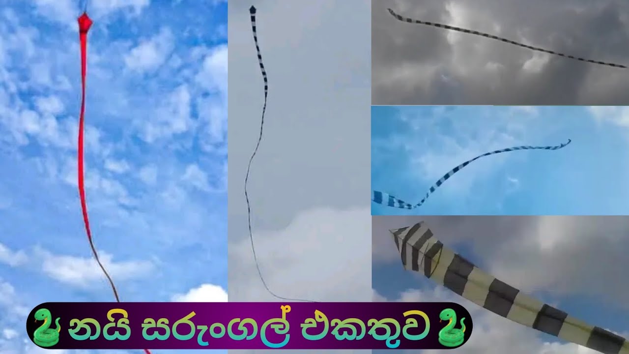 නයි සරුංගල් longest Snake kites #kite #sl #snake - YouTube