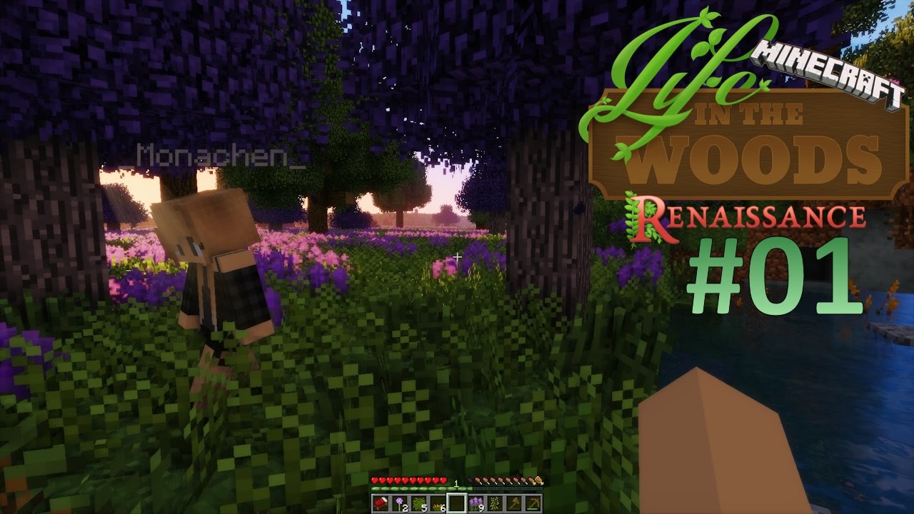 LIFE IN THE WOODS #01 - Life with Monachen ☼ Let's Play LitW [HD] - YouTube
