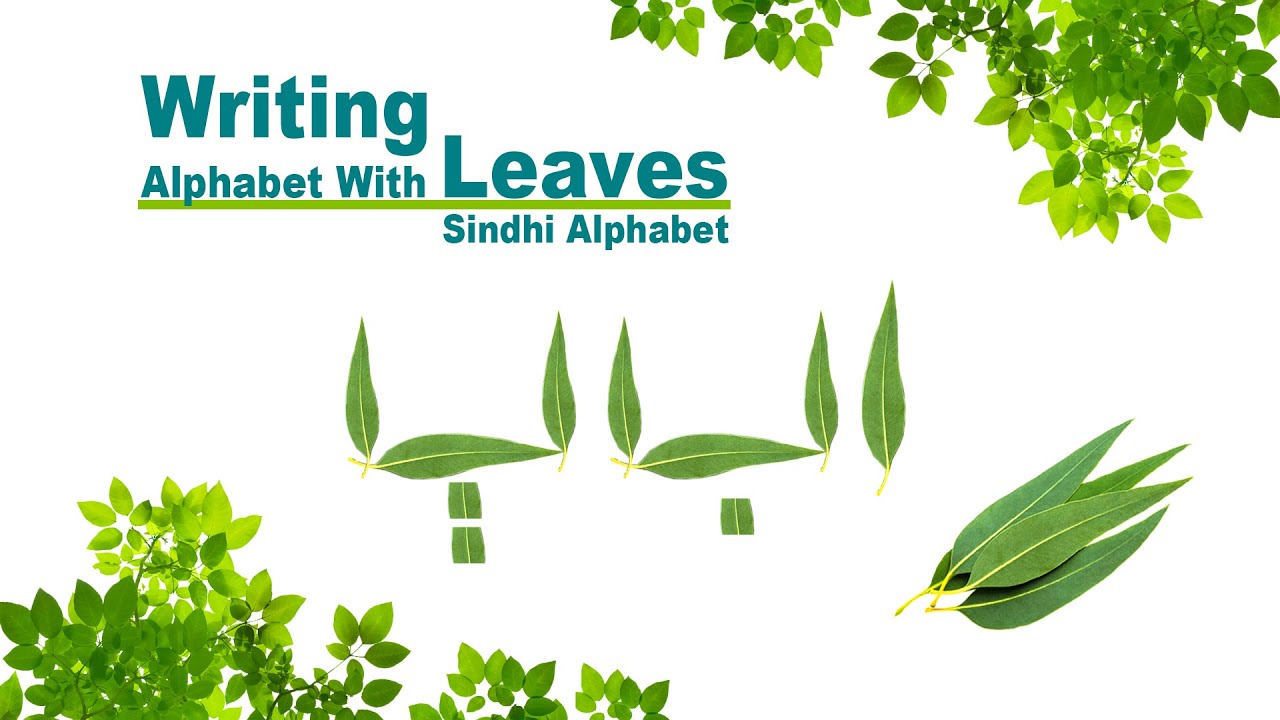 Writing Alphabet With Leaves | Sindhi Letters | Nature Activity - YouTube