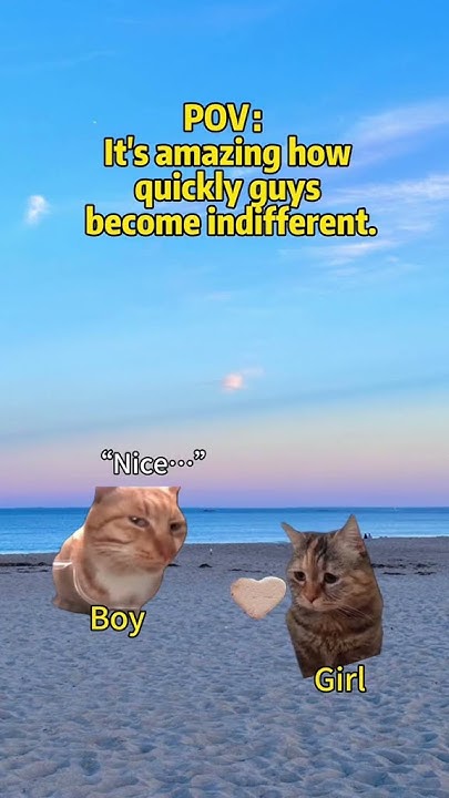 It's amazing how quickly guys become indifferent #catmemes #family # ...
