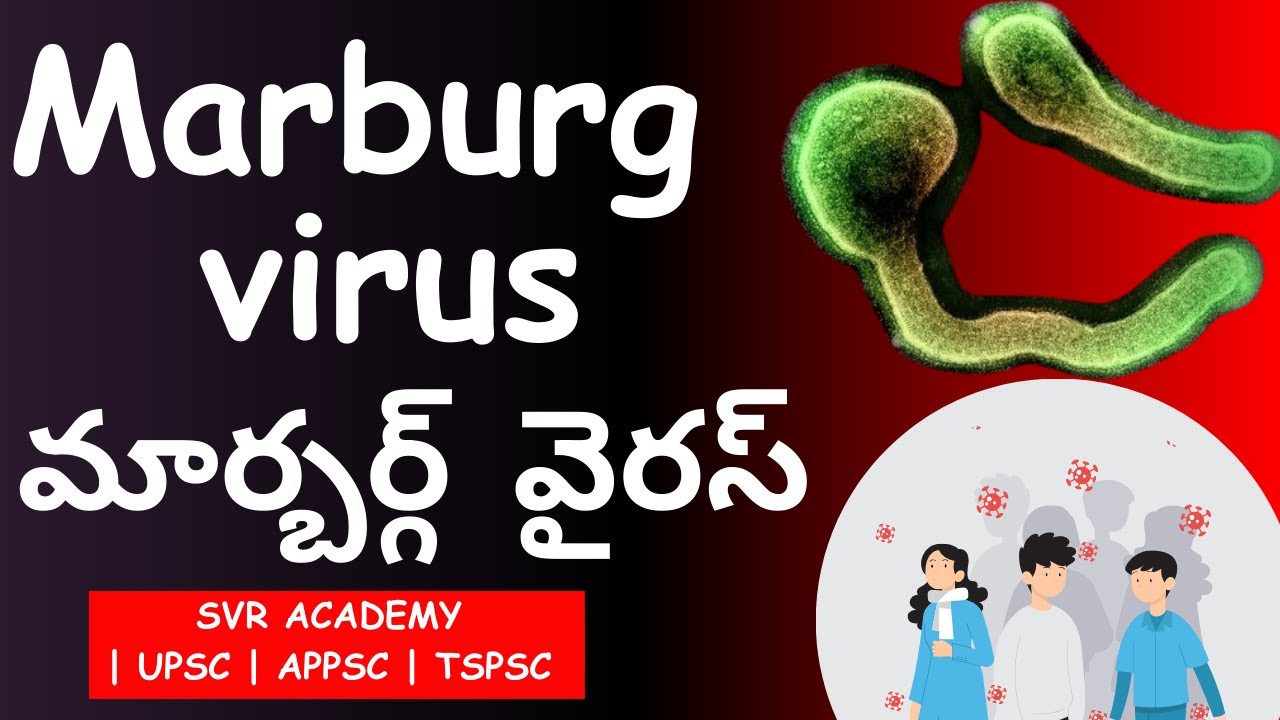 Marburg Virus Explained: Symptoms, Transmission, and Prevention - YouTube