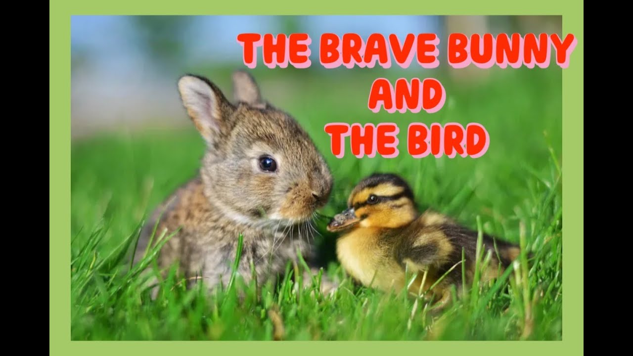 The Bunny And The Bird | Pippa The Bunny #fairytales #bedtimestories # ...