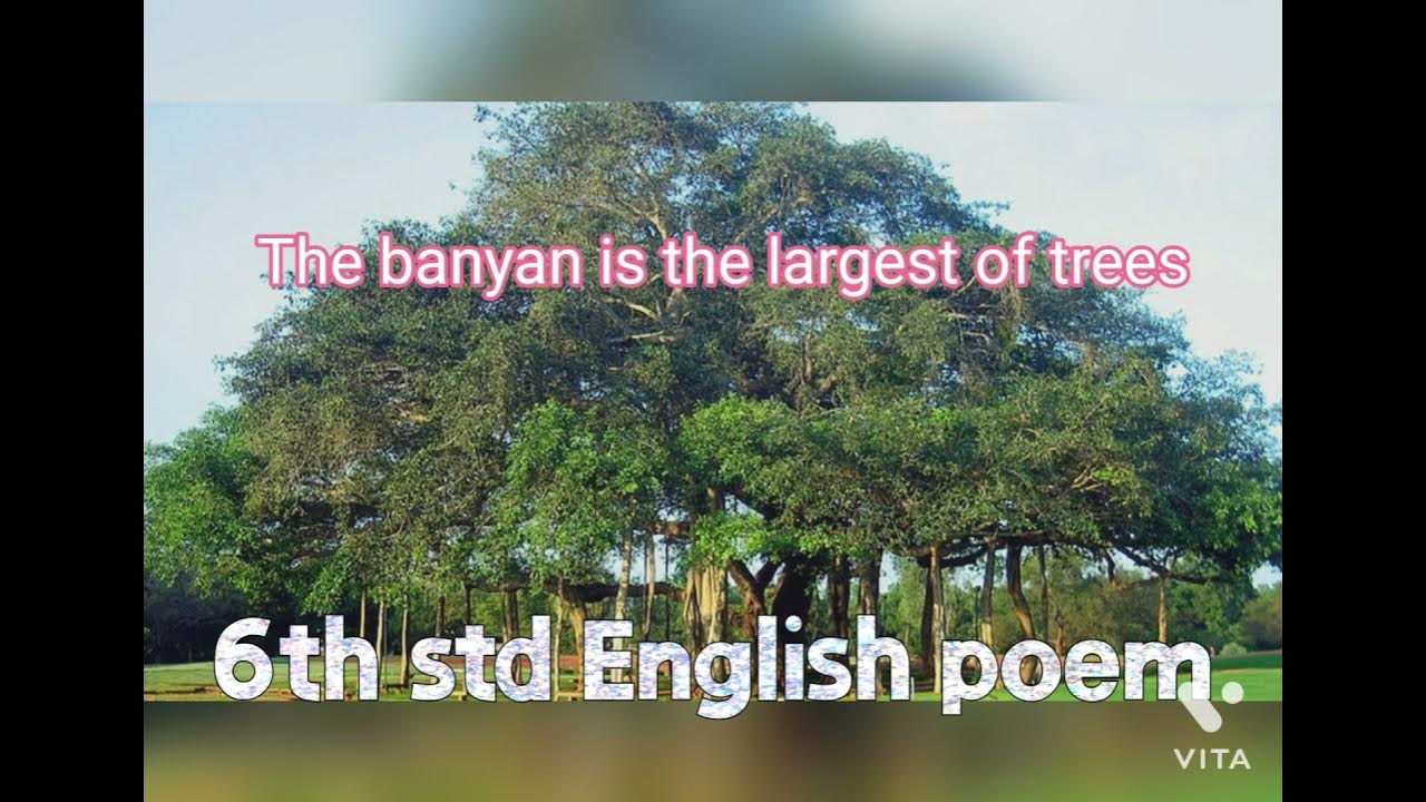 Trees _ 6 th std English poem by Mrs. christil jaisy . immaculate ...