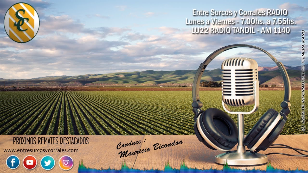 Programa Lunes 8 de Noviembre - YouTube