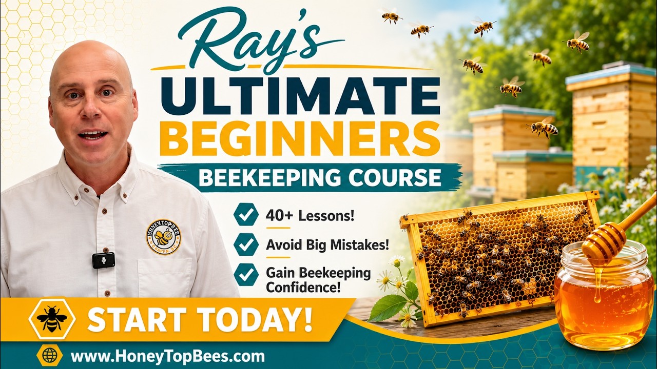 Ray Ultimate Beginners Beekeeping Video Course - YouTube