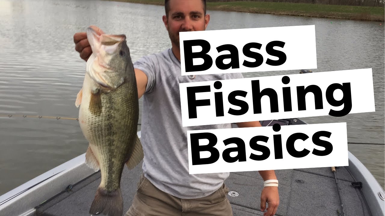 Bass Fishing FOR Beginners - Everything You NEED For $75 (What Rod ...