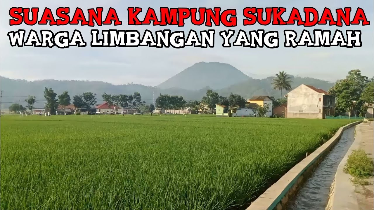 SEPERTI APA SUASANA KAMPUNG SUKADANA DI LIMBANGAN GARUT ?? BIKIN BETAH‼ ...