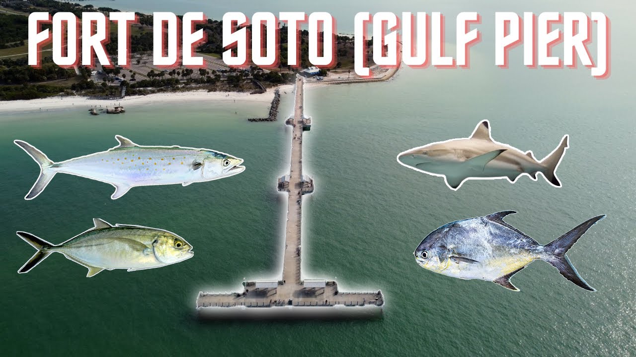 Fishing Fort De Soto Gulf Pier | Florida (Mackerel, Pompano, Blue ...