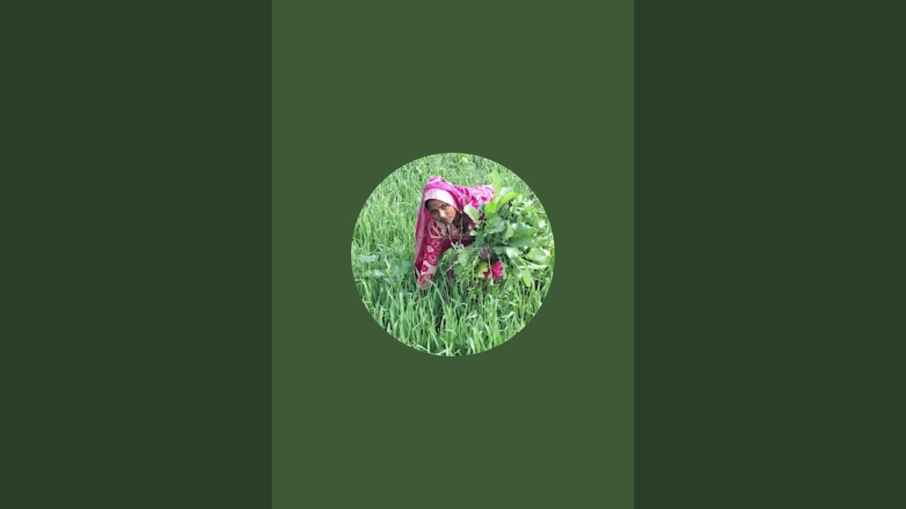 Kajal Kumari @7845 is live - YouTube