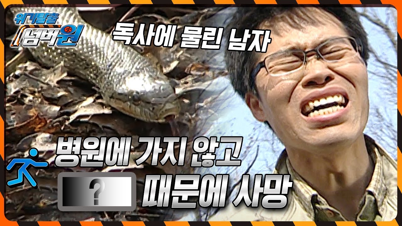 독사에 물렸으나 병원에 가지 않고 OO하려다 사망한 남자 [위기탈출 넘버원] KBS 090413 방송 - YouTube