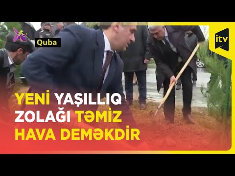Quba-Xaçmaz avtomobil yolunun hər iki tərəfində yeni yaşıllıq zolağı yaradılıb
