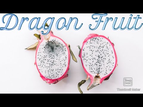 Dragon Fruit Strain review - YouTube
