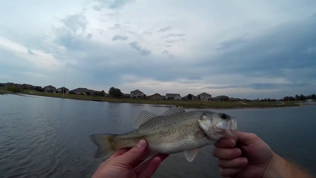 Justin fishing - YouTube