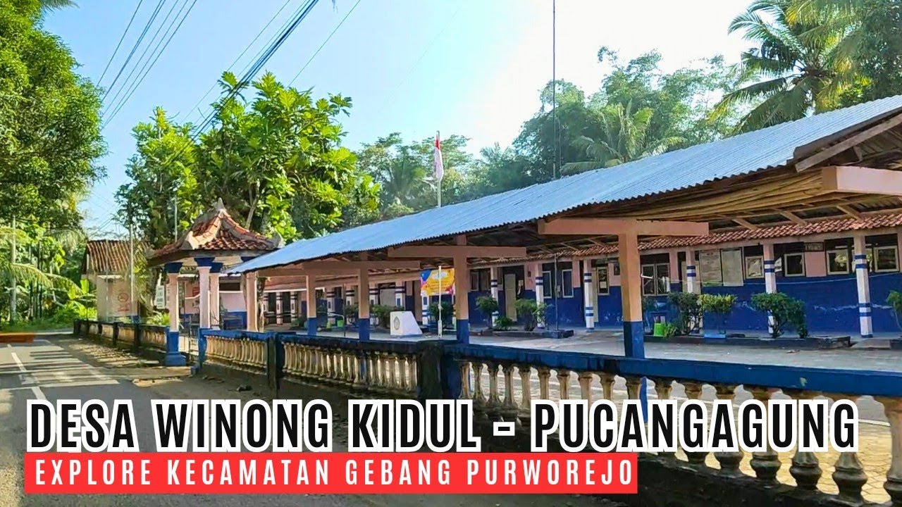 Suasana Desa Winong Kidul Gebang Purworejo - YouTube