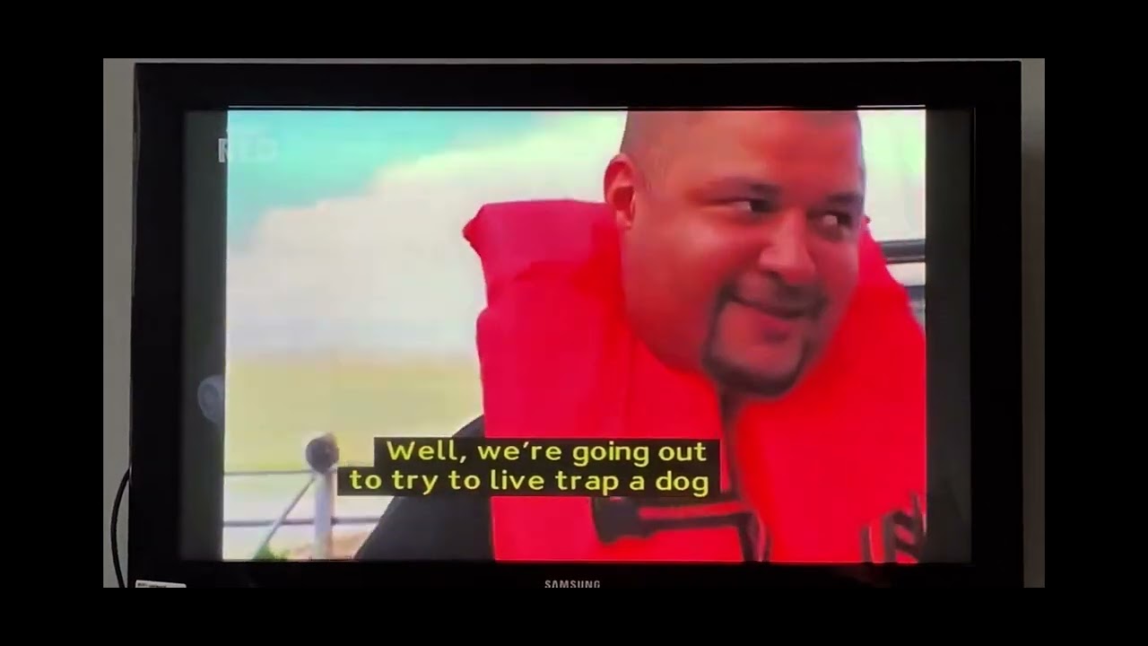 animal cops Detroit s4e6 - YouTube