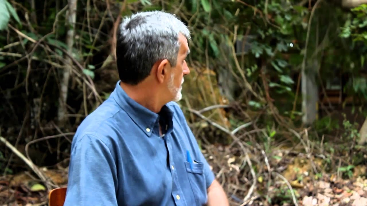 Gravação do depoimento do professor Antônio José Vale da Costa - YouTube