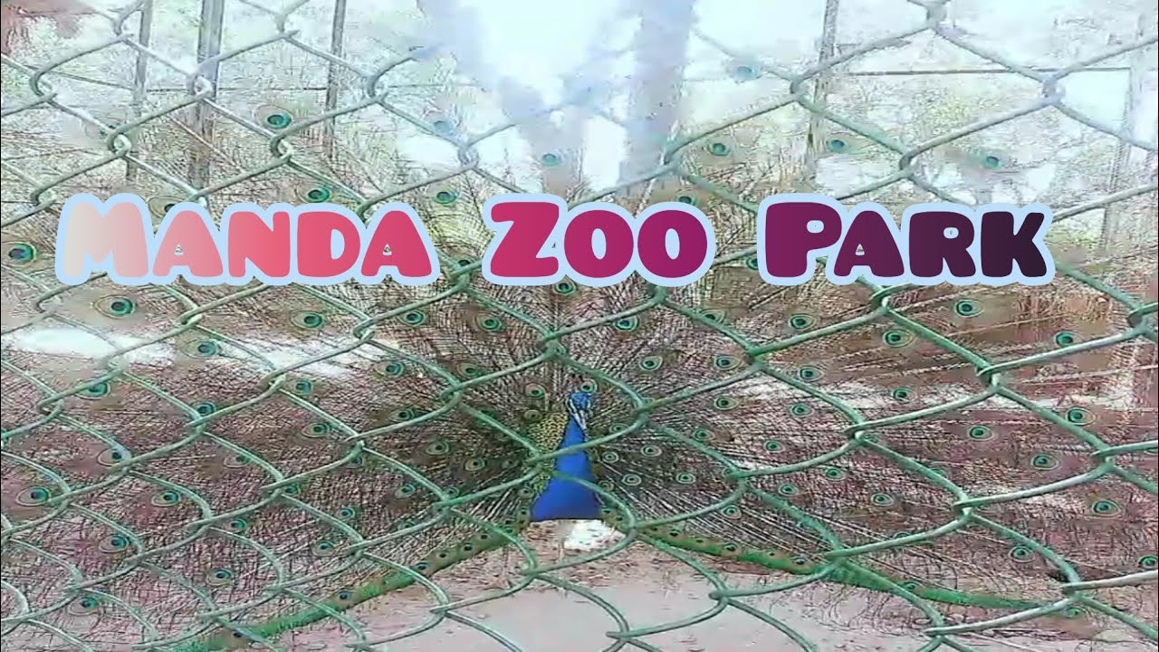Manda Zoo Park/Jammu dairies /beautiful animals - YouTube
