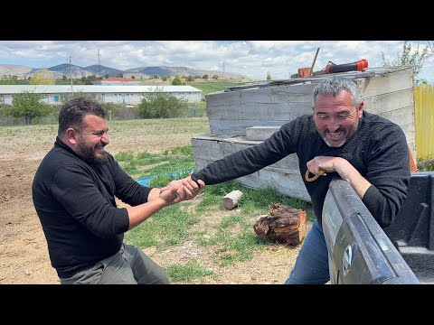 ZORLU GEÇEN KURBANLIK DANA PAZARLIĞI