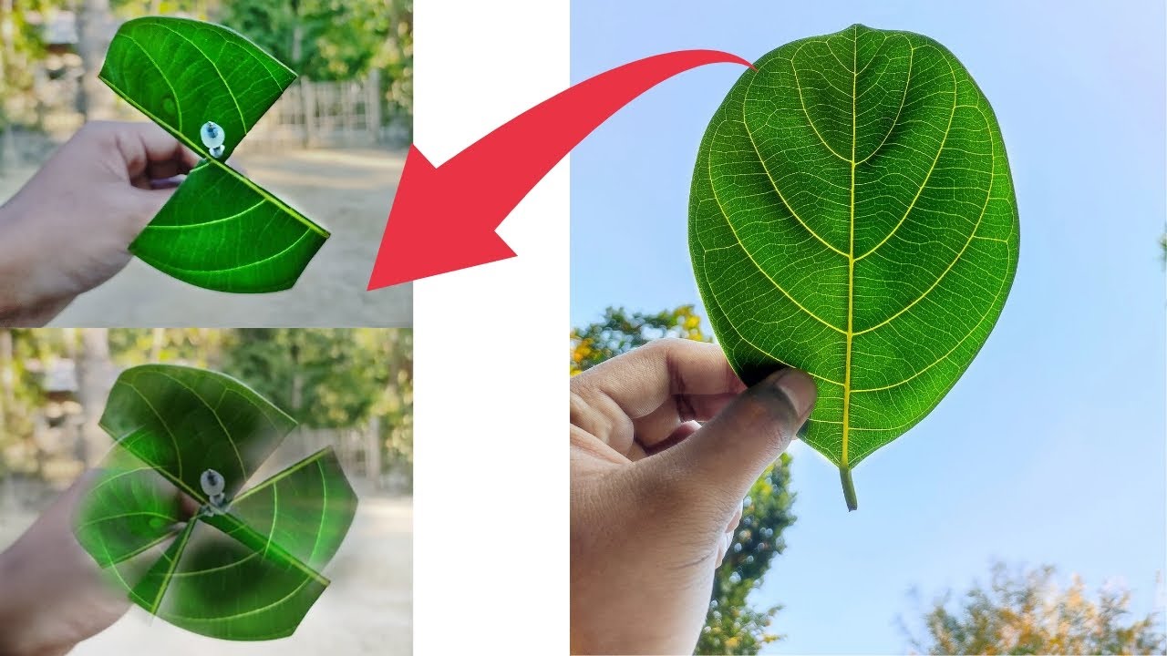 How to make a toy fan/DIY Jackfruit leaf fan/Jackfruit leaf craft, # ...