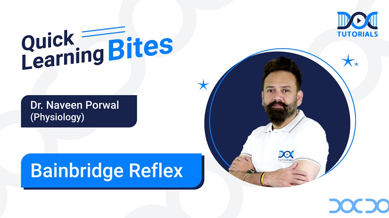 Physiology- Bainbridge Reflex | Dr. Naveen Porwal | Quick Learning ...