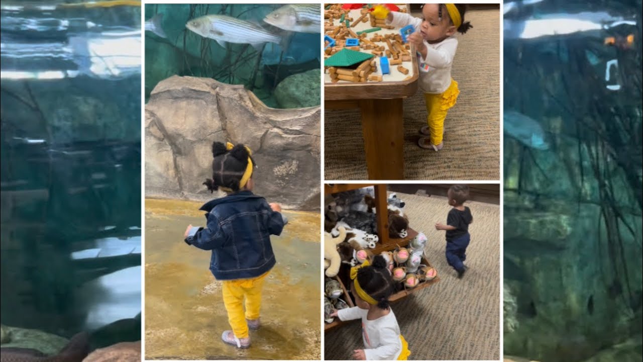 TWINS SEE REALLY BIG FISH FOR THE FIRST TIME.. PLUS FIND THE TOY AREA ...