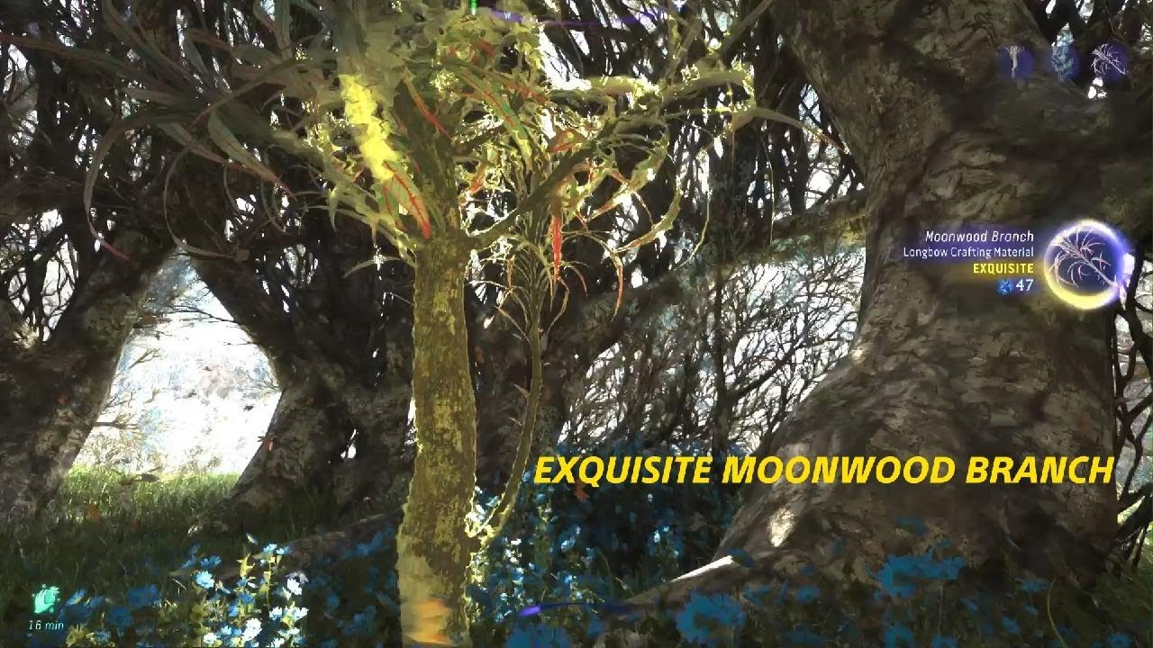 Avatar: Frontiers of Pandora - [EXQUISITE] Moonwood Tree Branch ...