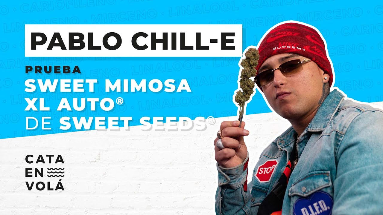 PABLO CHILL-E EN ENVOLÁ - YouTube