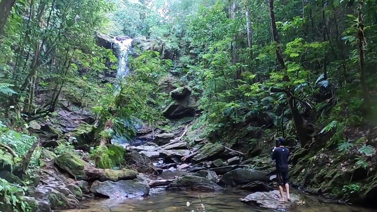 Avocat waterfall Trinidad and Tobago - YouTube