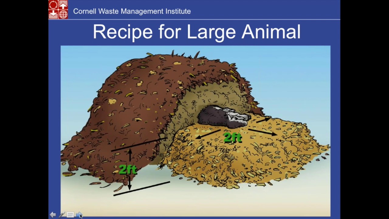 6-20-17 NRC RMC SMM Webinar Series-Animal Mortality Composting II - YouTube