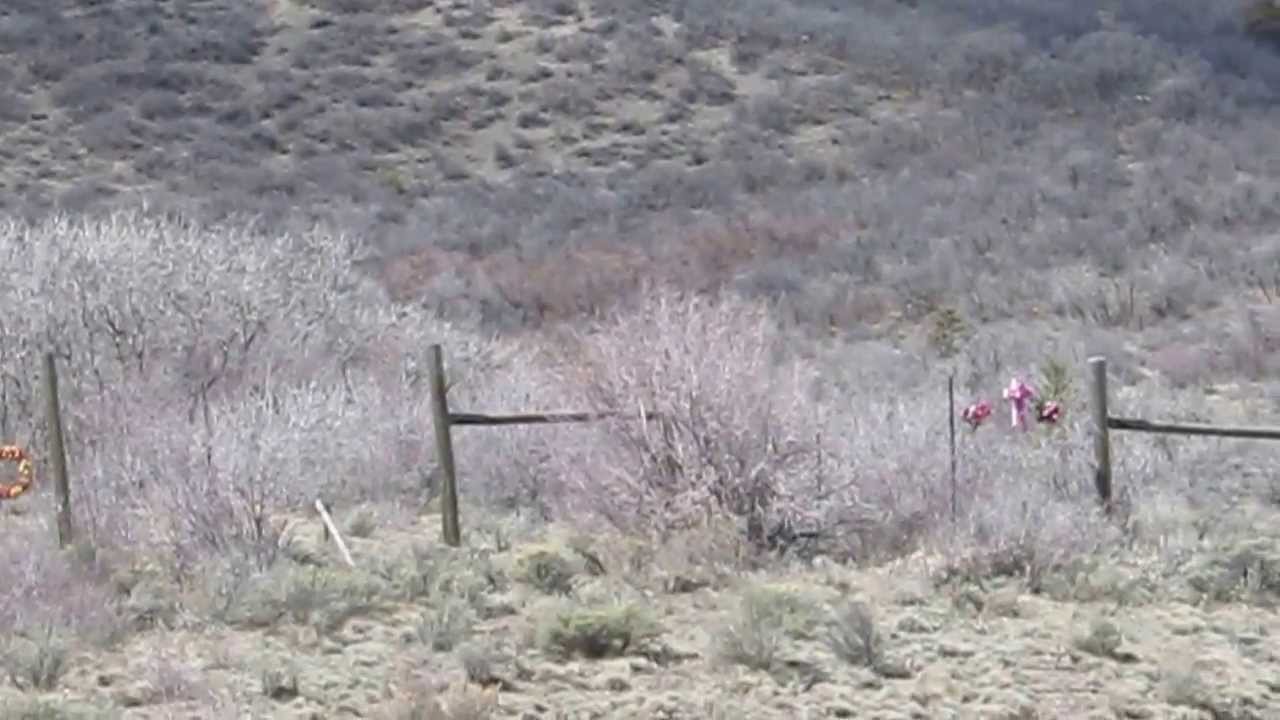 Aspen Avjet Gulfstream Plane Crash Location - YouTube