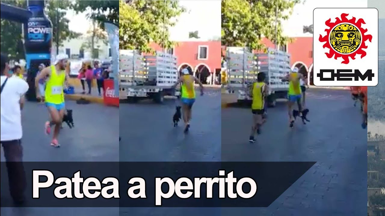 En plena competencia, maratonista patea a perrito / OEM - YouTube