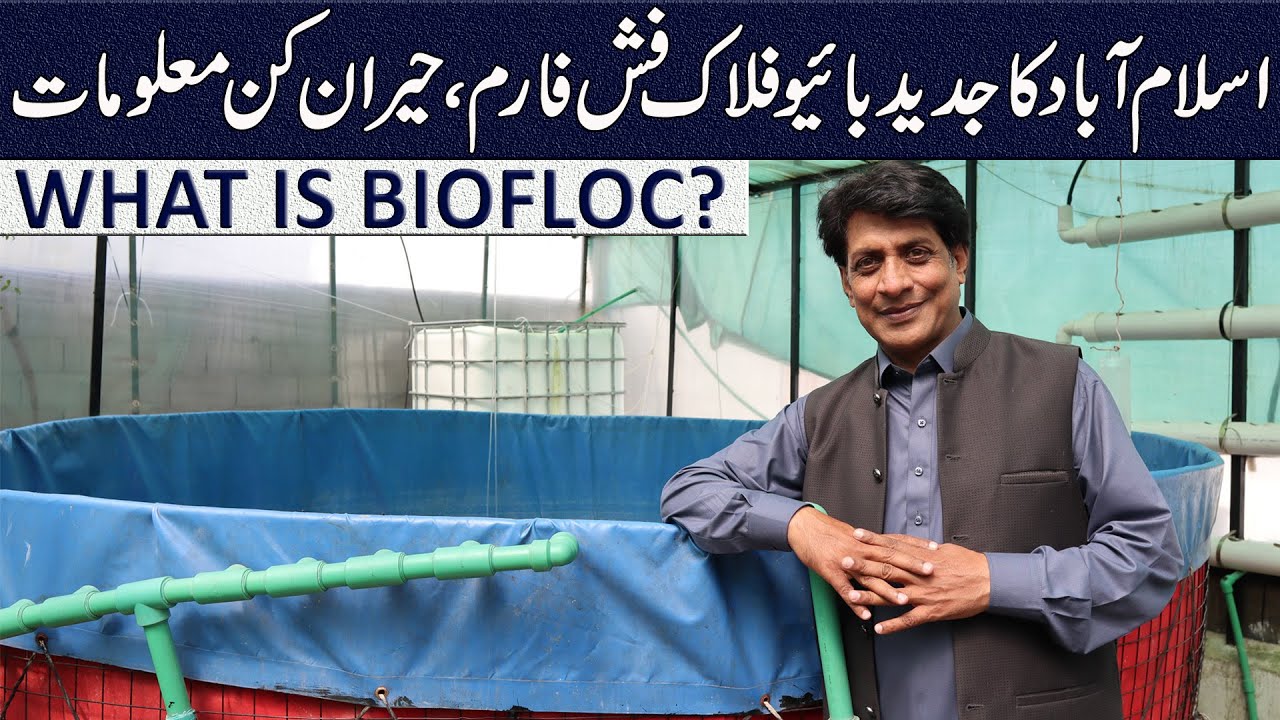 BIOFLOC : The Secret to Organic Fish Farming - YouTube