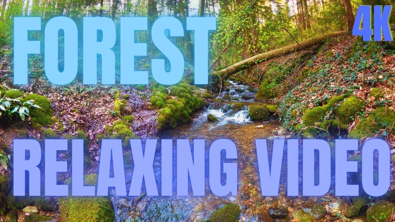 4K Calm Forest River - Relaxing Nature Video with ambient sound - YouTube