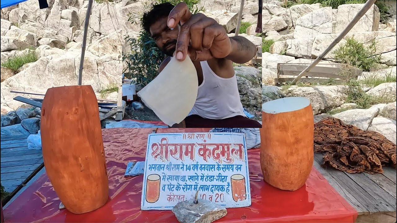 रामकंद रामकंदमूल Ramkand || Ramkand Fruit | Kandamool | संजीवनी बूटी ...