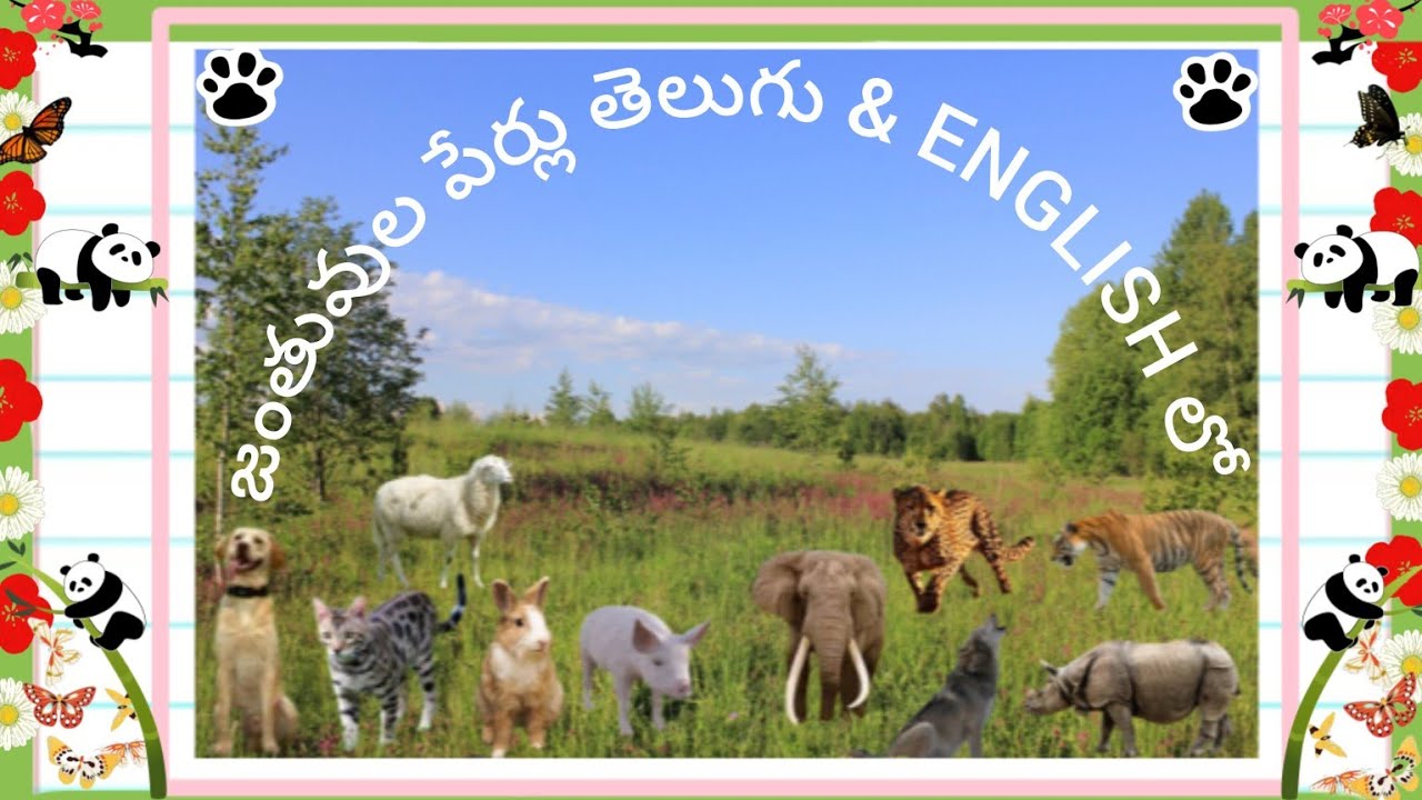 జంతువుల పేర్లు,శబ్దాలు|Animal names in Telugu & English, sounds|ANIMAL ...