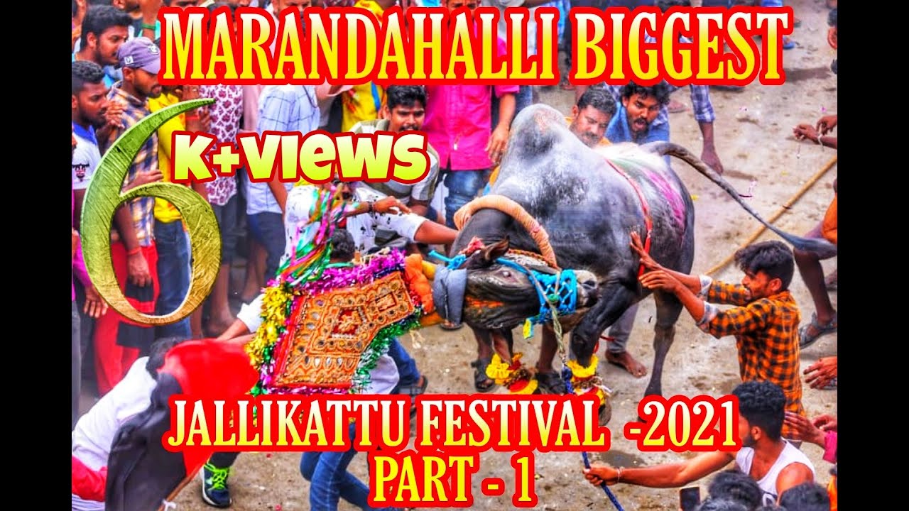 "மாரண்டஅள்ளி ஜல்லிகட்டு விழா -2021 - MARANDAHALLI BIGGEST JALLIKATTU ...