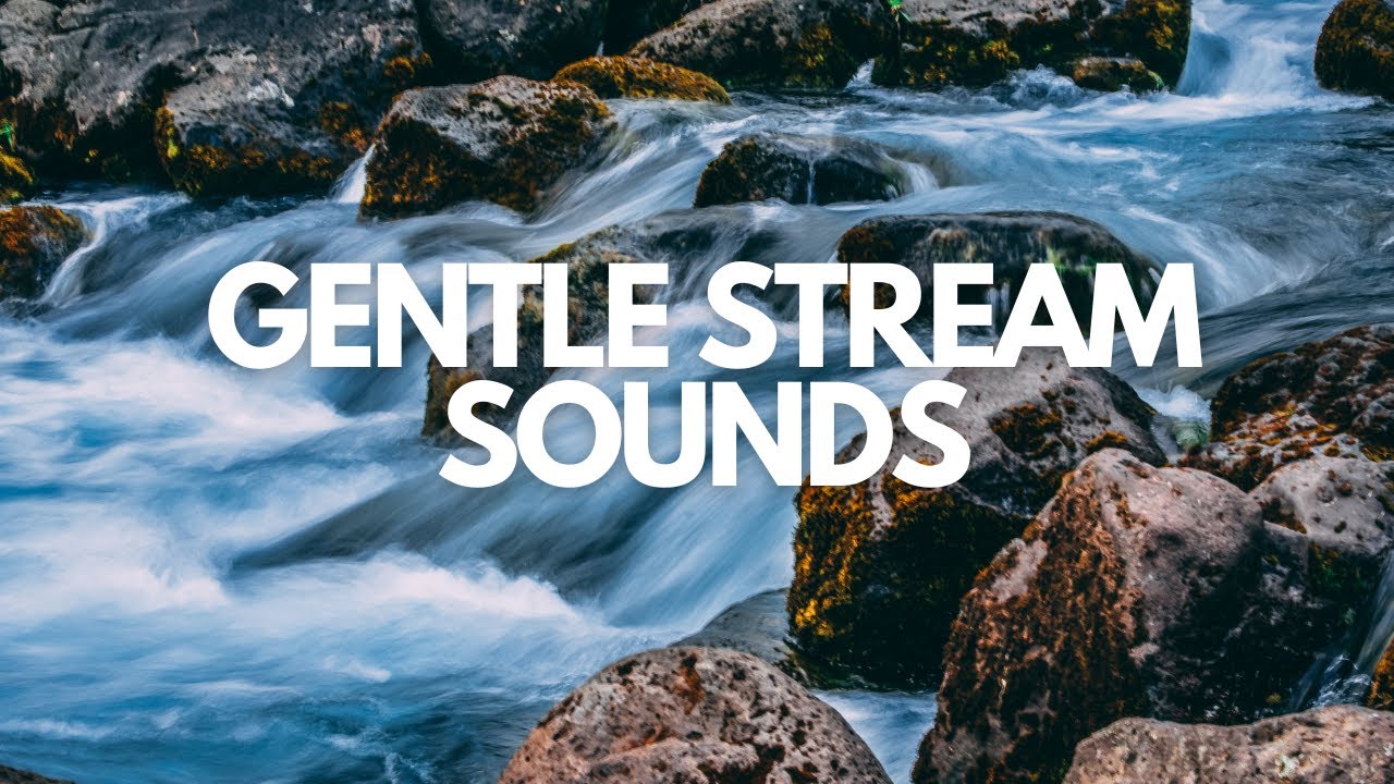 30 MINUTES of Gentle Stream Sounds | Relaxing Stream Sounds use for ...