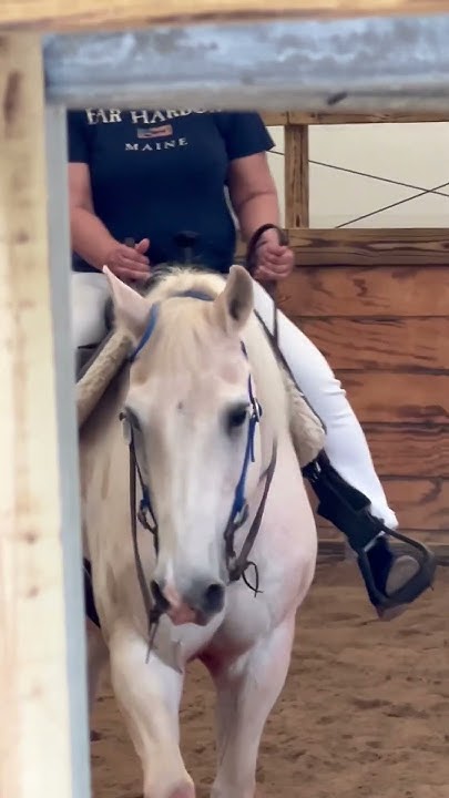 I love horse riding!!! - YouTube