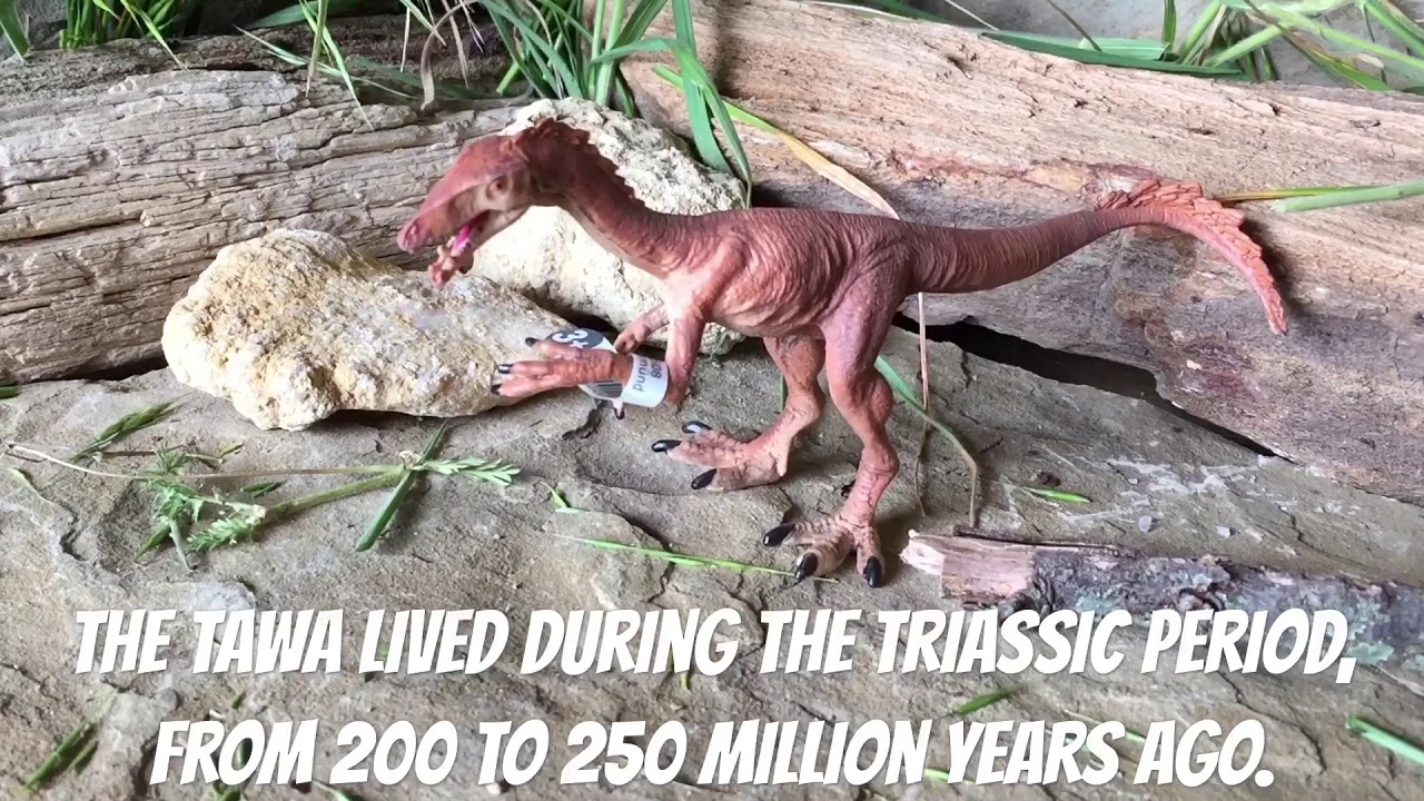 Schleich Tawa Dinosaur Toy Model 2018 | Video Review | 15005 - YouTube