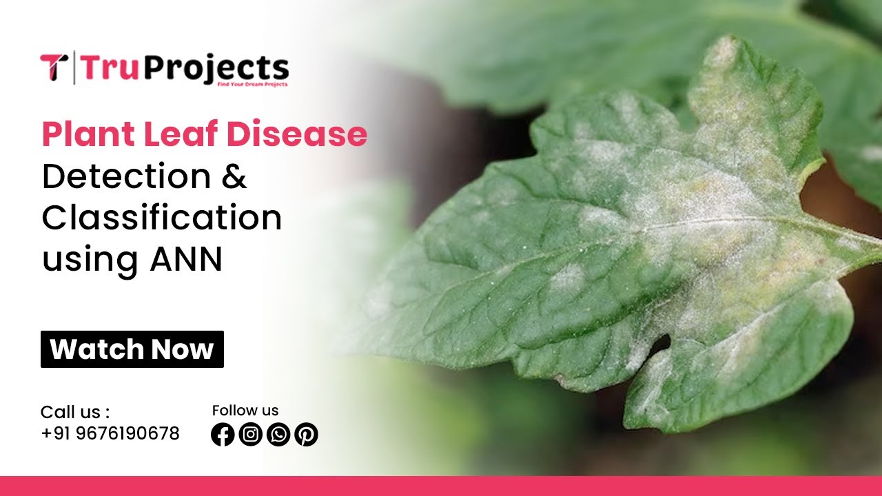 Plant Leaf Disease Detection & Classification using ANN - YouTube