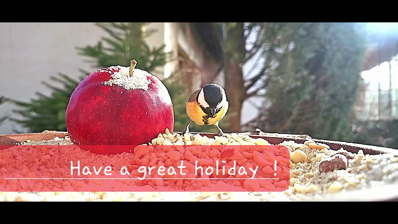 Have a great holiday ! - YouTube